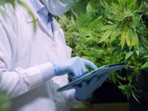 GrowShield Powered By APP | Cannabis Industry PPE